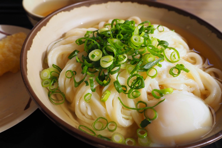 帰省2023冬「讃岐富士の麓で伝説のうどん」: ココアの気ままな日々