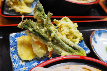 会津2023「いつもより早い春」: ココアの気ままな日々