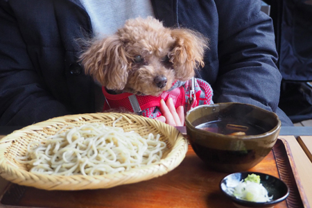 ふじみ野「手打蕎麦ぐらの」: ココアの気ままな日々