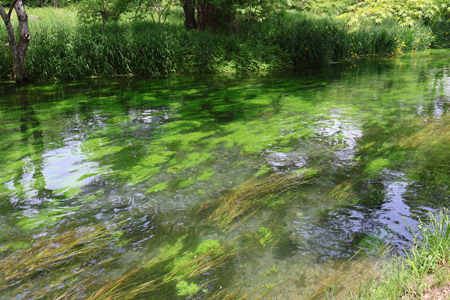 軽井沢2025春「10年ぶりの安曇野」: ココアの気ままな日々